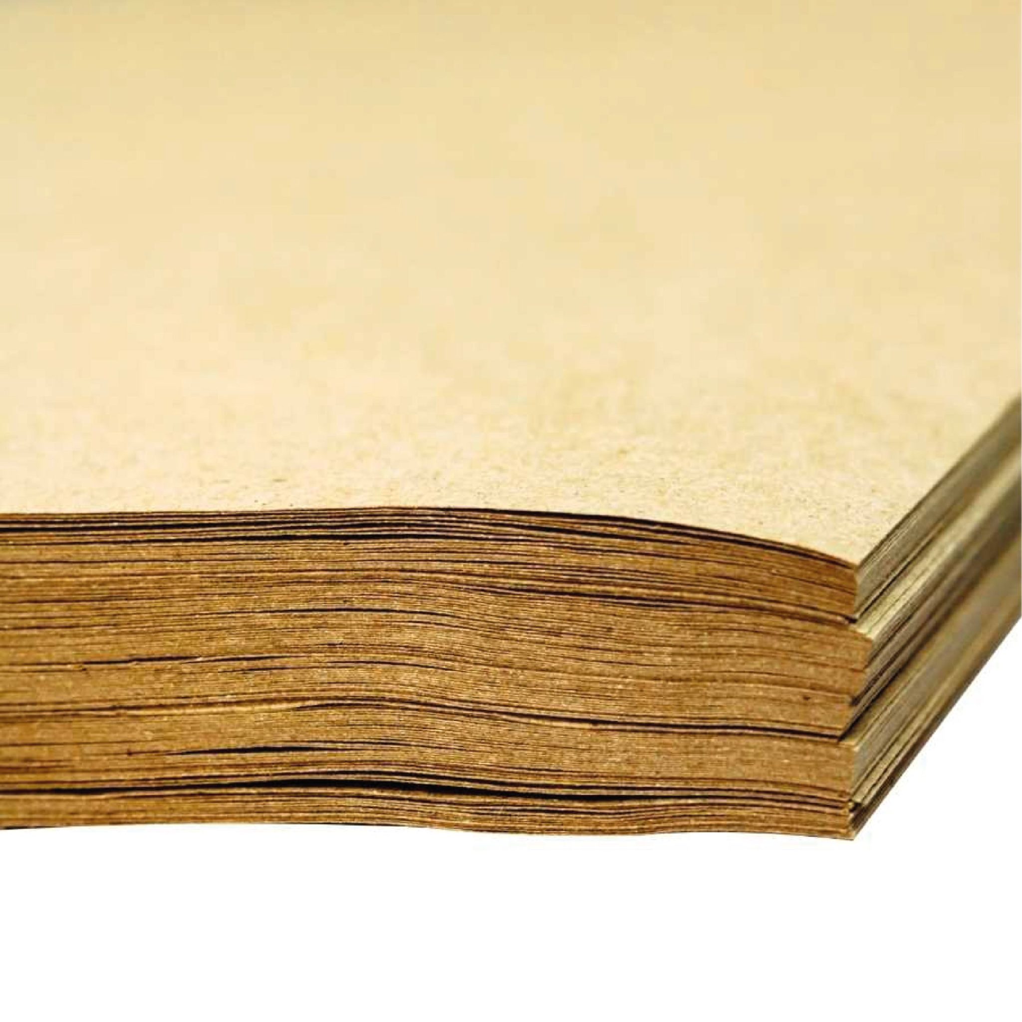 Pliego de papel Foldcote calibre 12, material biodegradable.